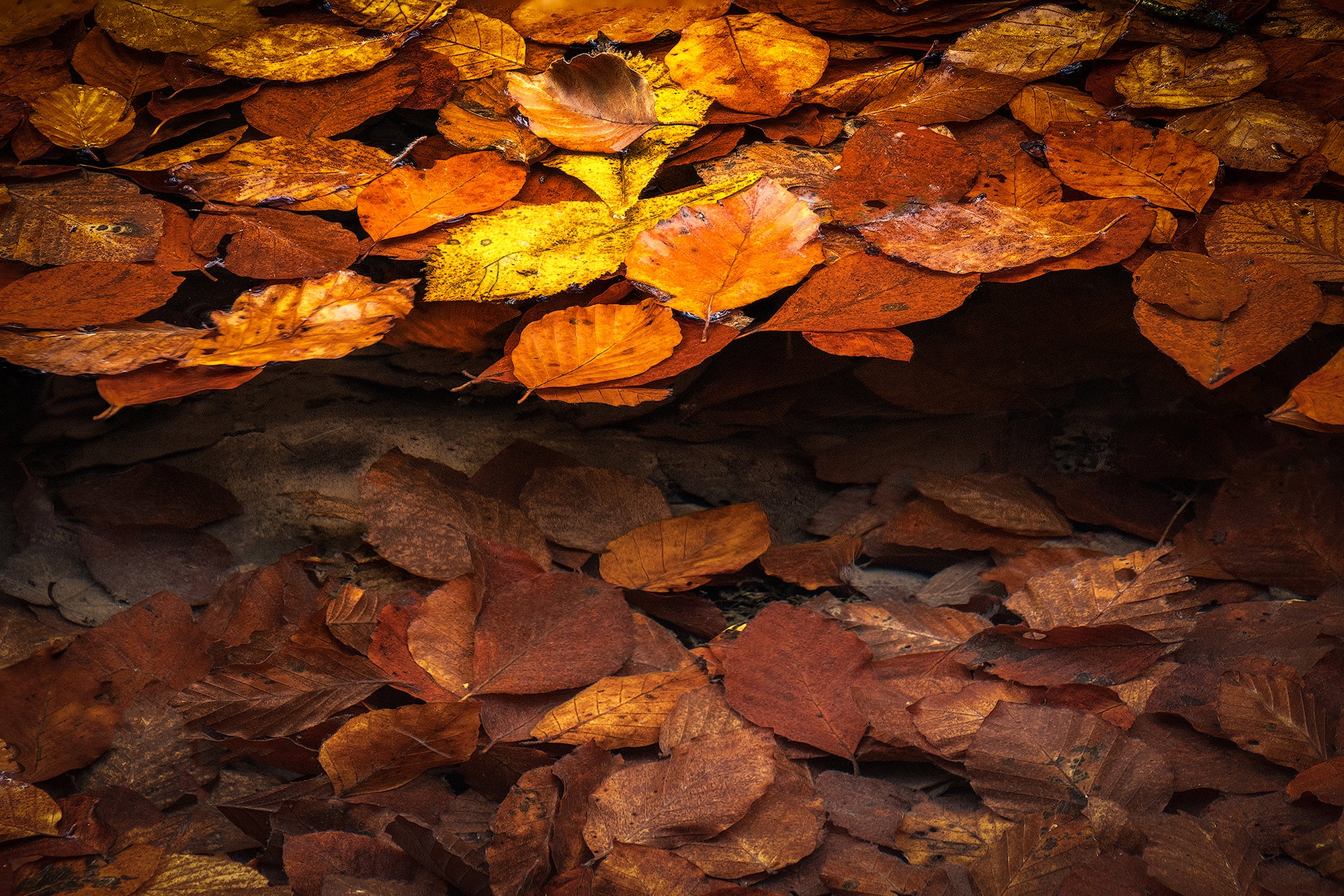 WORKSHOP INITMATE LANDSCAPES – This Way